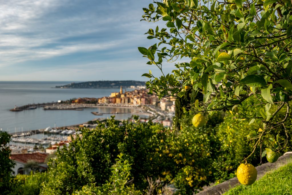 San Remo och Citronfestivalen i Menton - PRO Medlemsresor
